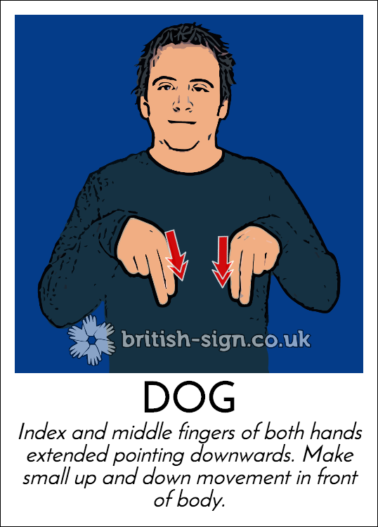 Sign Of The Day Dog BSL