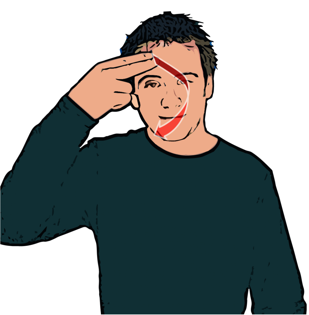 Name British Sign Language Dictionary