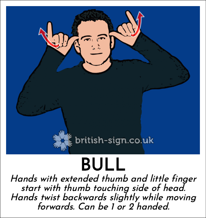 Bull in British Sign Language (BSL)