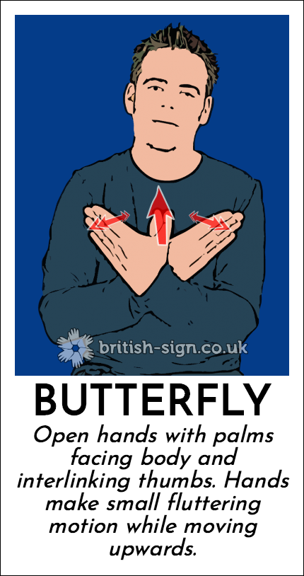 Butterfly in British Sign Language (BSL)