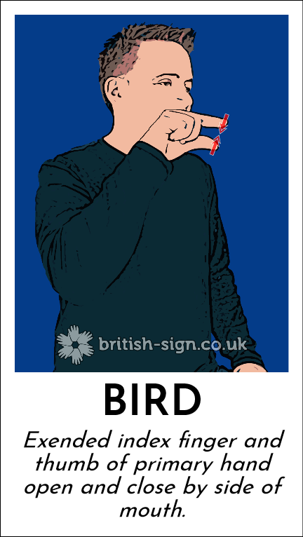 Lesson Plan - "Don't Talk to Me!" - British Sign Language - Learn BSL ...