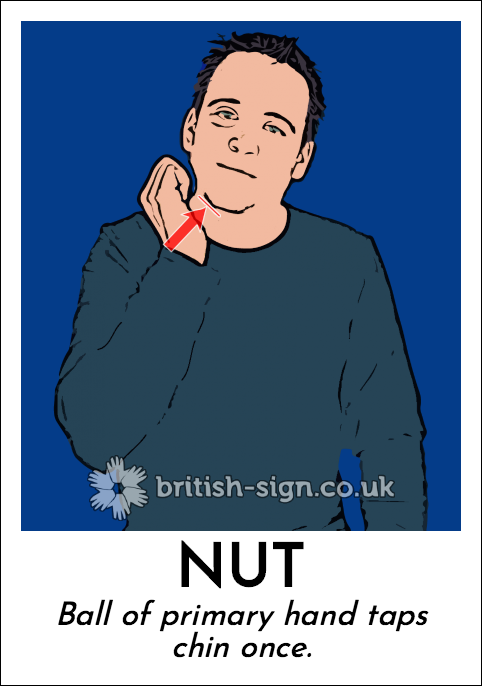 Christmas Word Search - British Sign Language - Learn BSL Online