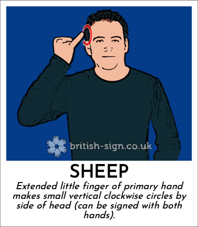 BSL Vocabulary Sheet Creator - British Sign Language - Learn BSL Online