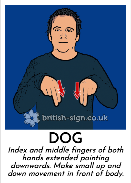 BSL Word Search - British Sign Language Game