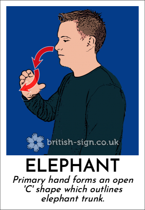 Family Signs - British Sign Language