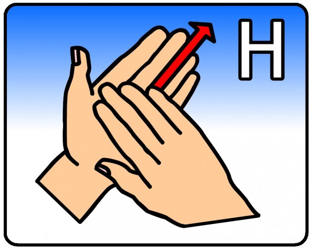 British Sign Language Dictionary | h