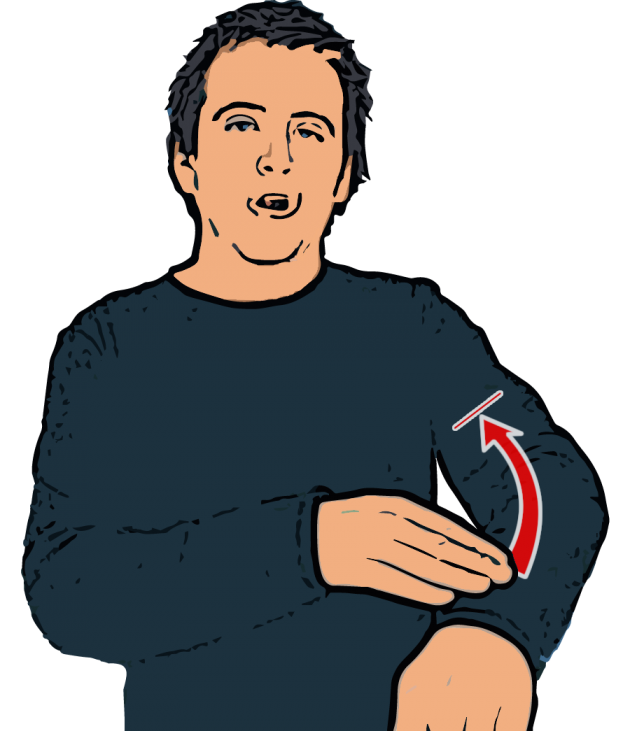 British Sign Language Dictionary | Slow – British Sign Language (BSL)