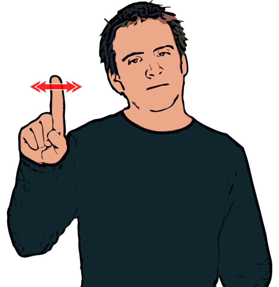 British Sign Language Dictionary What 